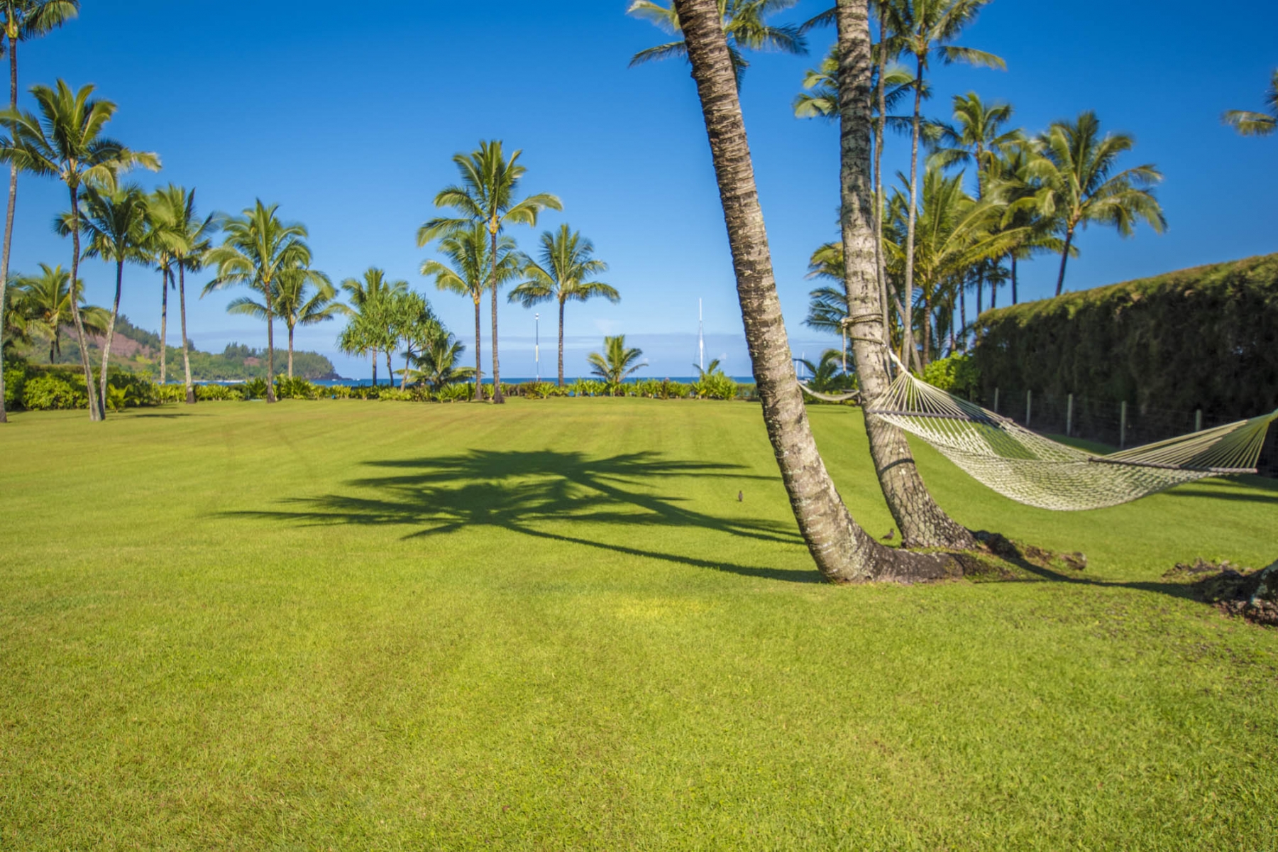 Ula'ula Estate | Hawaii Life Vacations