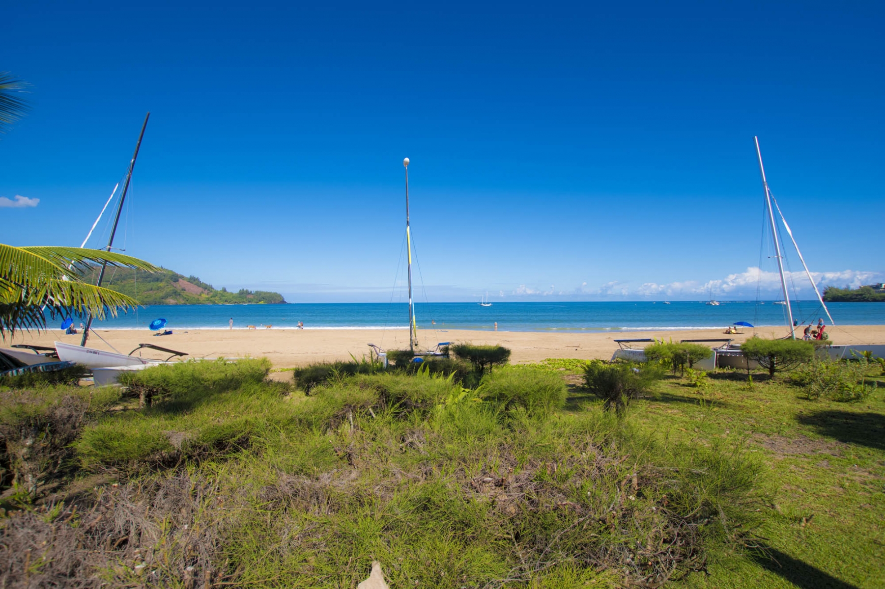 Ula'ula Estate | Hawaii Life Vacations